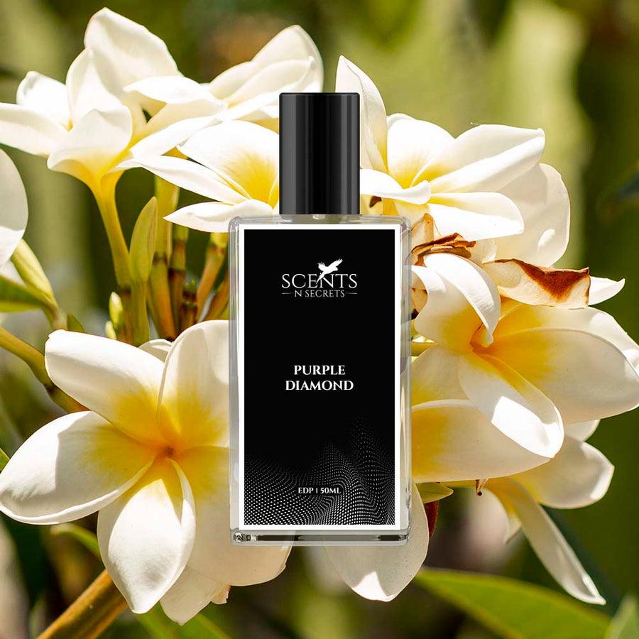 Scents N Secrets | The Leading Brand of Perfumes in Pakistan