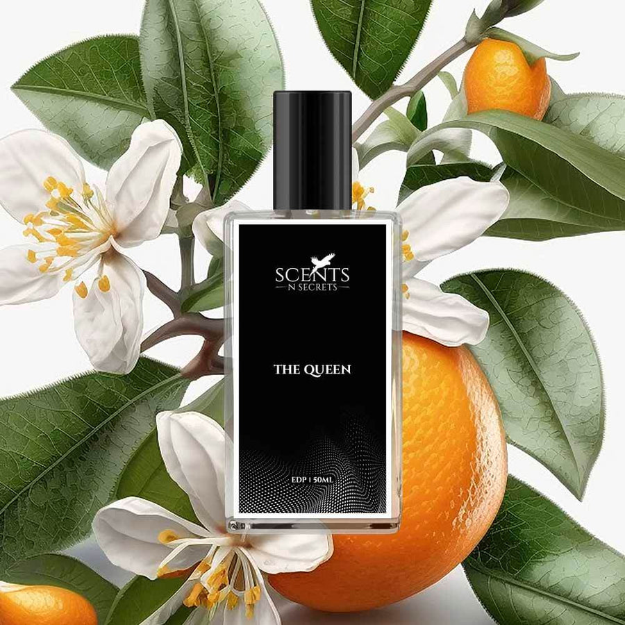 Scents N Secrets | The Leading Brand of Perfumes in Pakistan