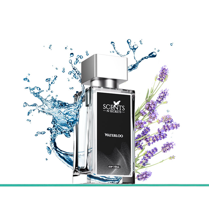 Waterloo | Inspired By Cool Water Perfume - Scents N Secrets
